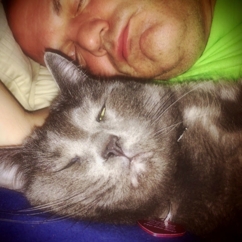My Cat Explains To Me Why I m Still Single John Moore my-cat-explains-to-me-why-i-m-still-single-john-moore