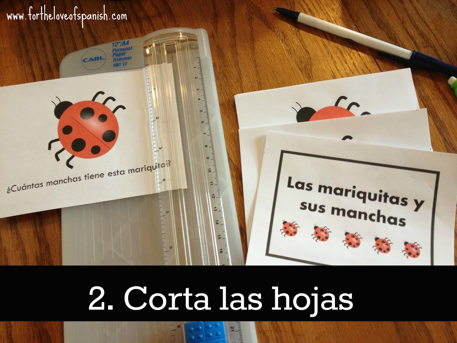 Learn Spanish with Ladybugs // The Ladybugs and Their Spots {FREE ...