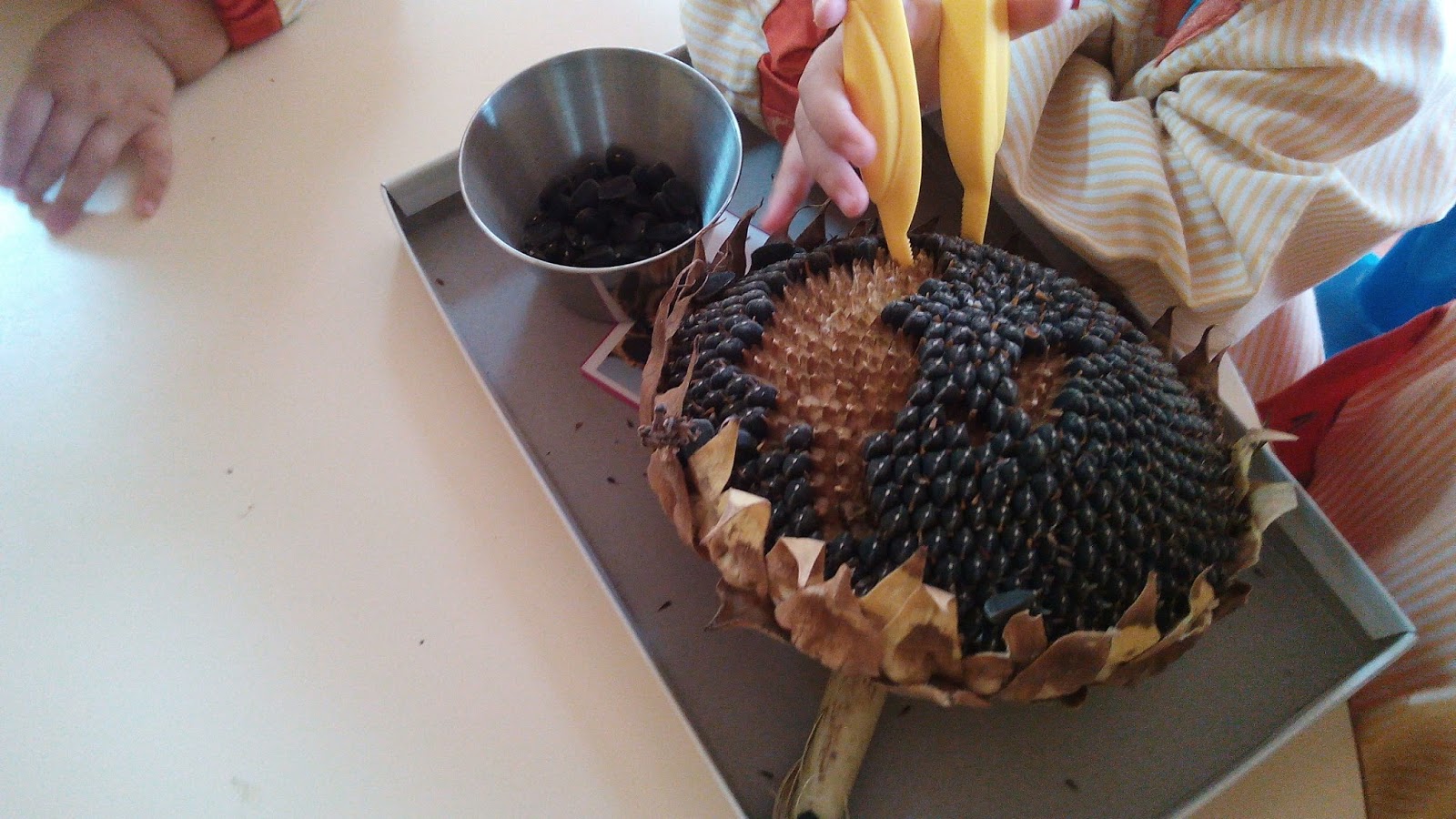 Actividades de motricidad fina en otoño