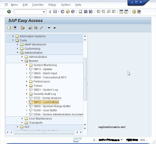 SAP Basis: To monitor SAP Locks