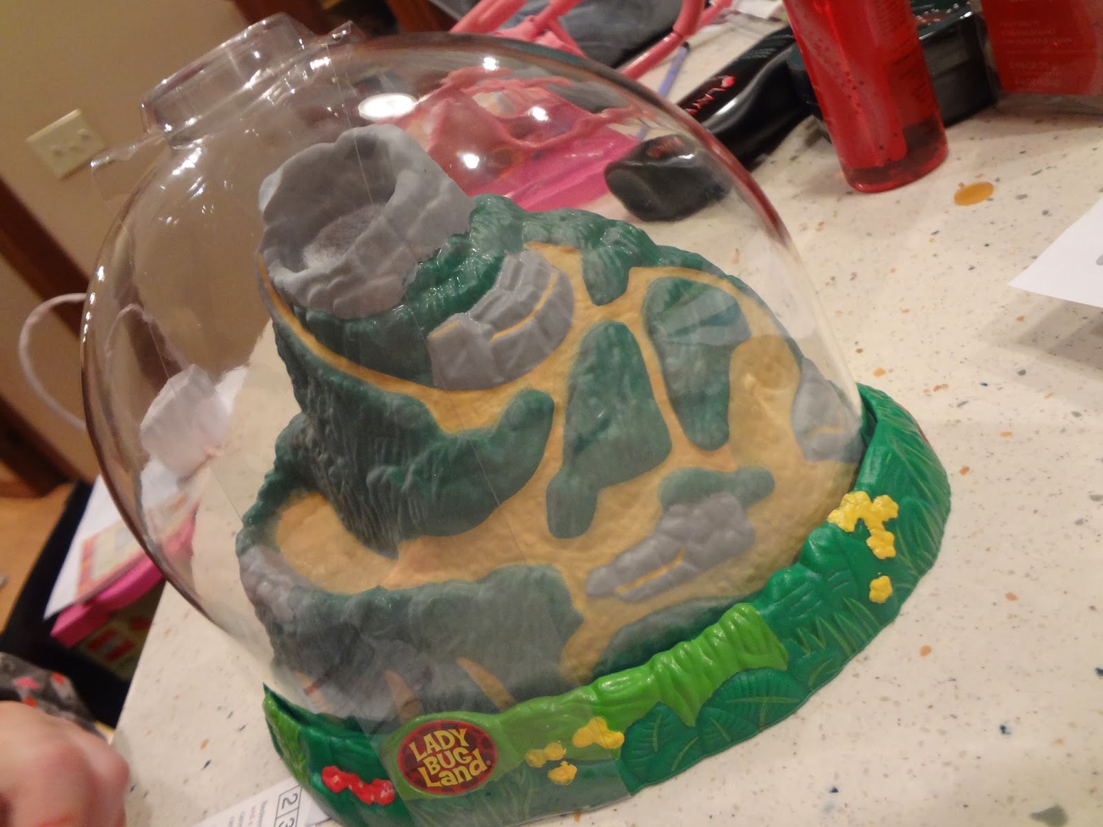 Get Buggy with Insect Lore Review and Giveaway - Mommy's Block Party