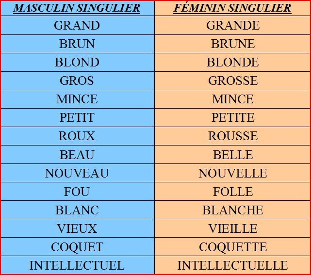 Blog de Français: l´adjectif qualificatif