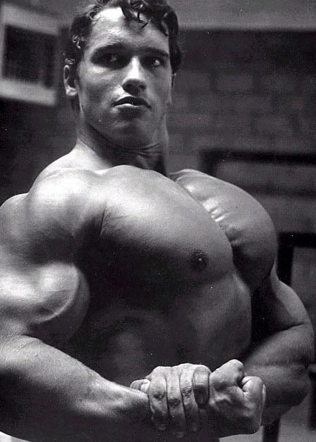 Sports Stars Info: Arnold Schwarzenegger Body Builder Sports Stars Info: Arnold Schwarzenegger Body Builder