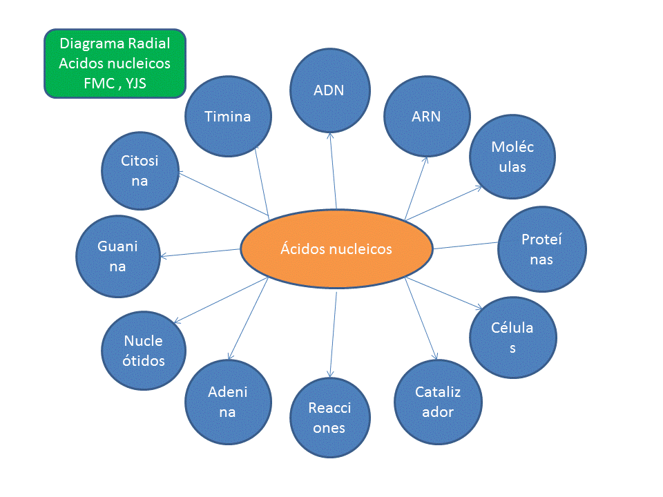 Mapa Radial - vrogue.co