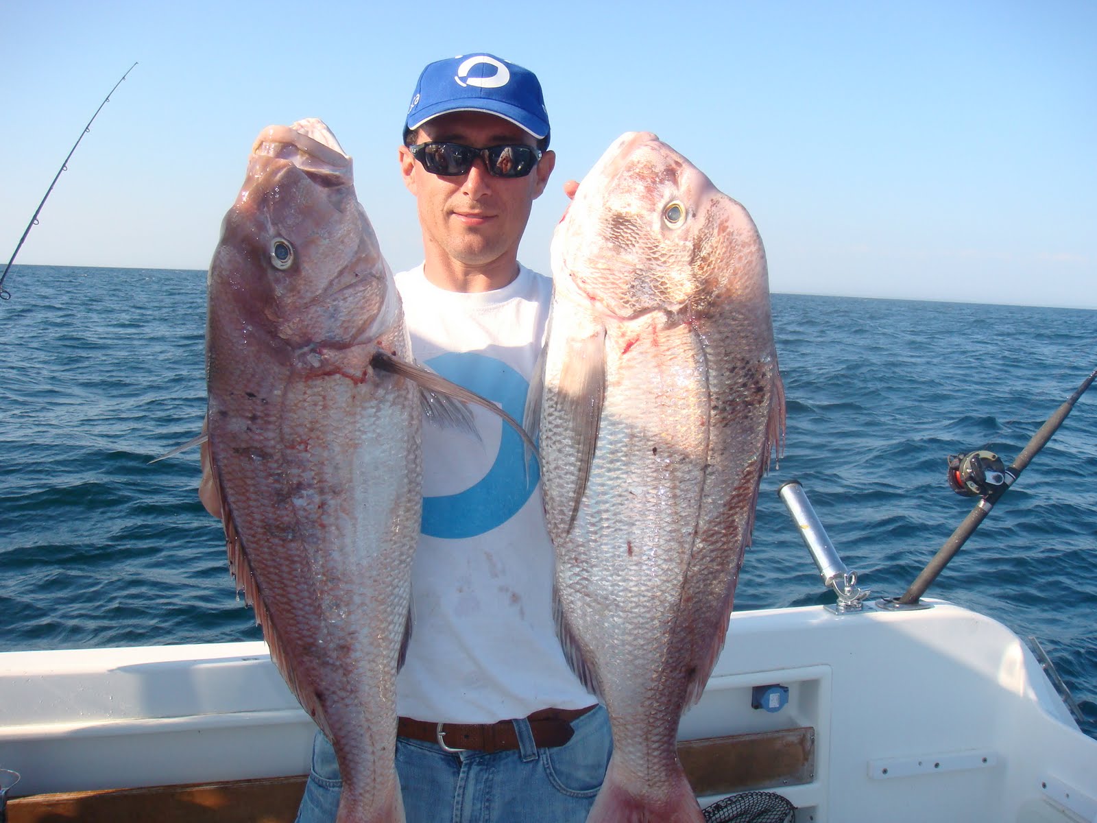 PESCA CINTINA: La temporada se tiñe de rosa, pargos, pargos y más pargos PESCA CINTINA: La temporada se tiñe de rosa, pargos, pargos y más pargos