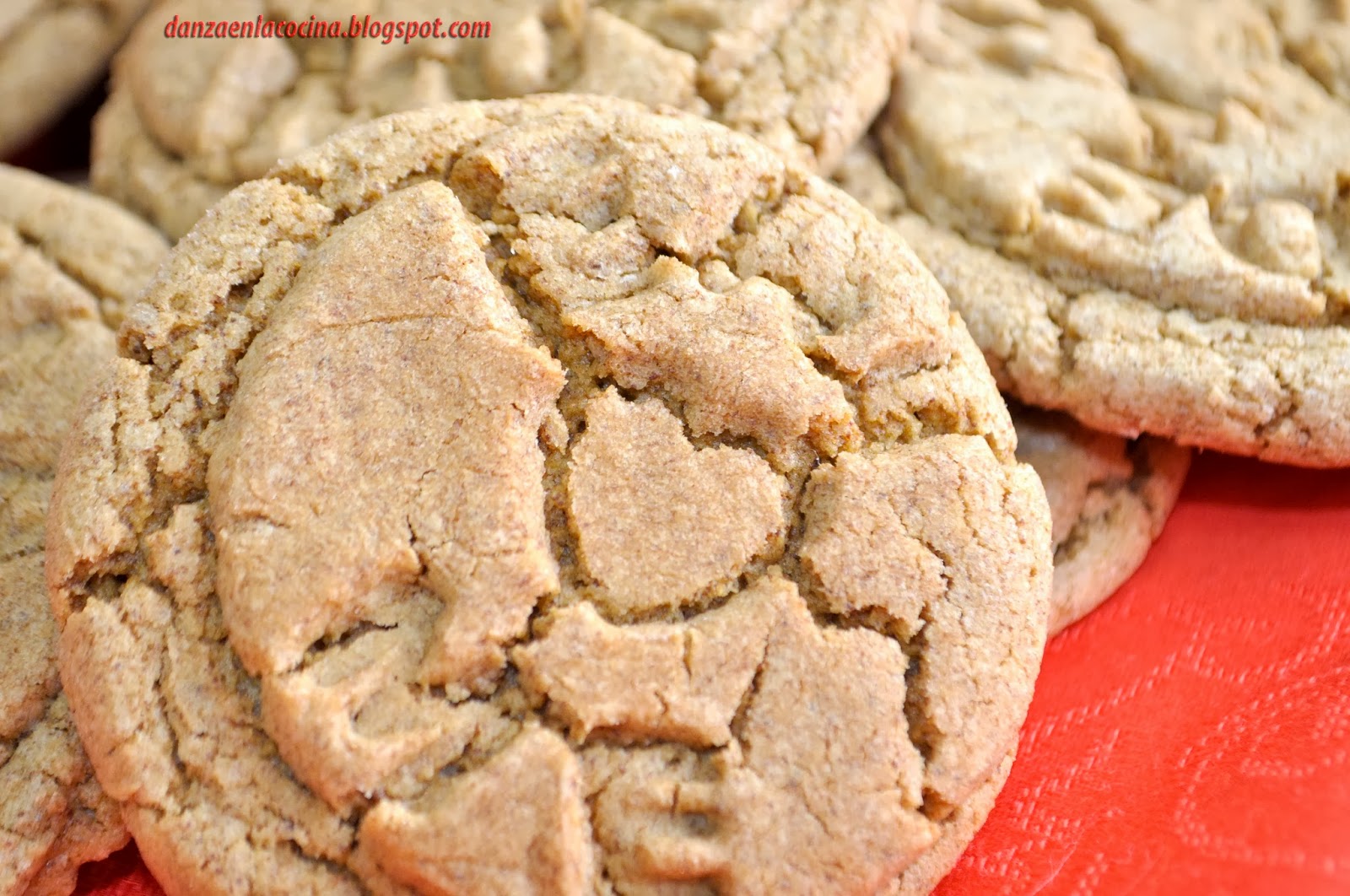 Danza En La Cocina Gingerbread Cookie Mix danza-en-la-cocina-gingerbread-cookie-mix