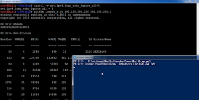 Week of PS Shells – PuckieStyle