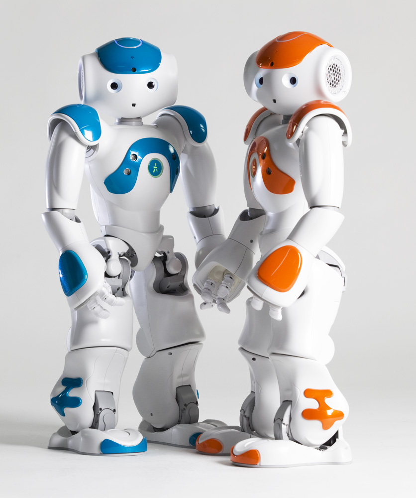 Mechanical Ant Nao mechanical-ant-nao