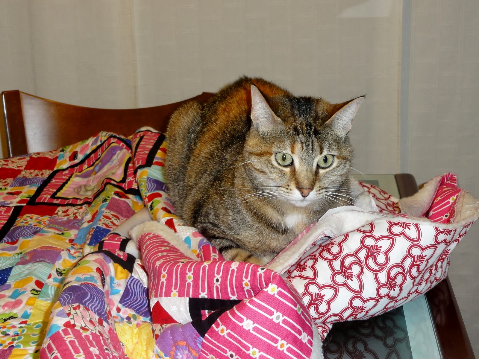 vadecolors - patchwork: QUILTS