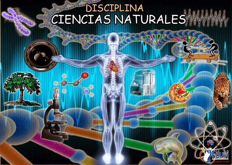Ciencias Naturales: ¿Qué es Ciencias Naturales?