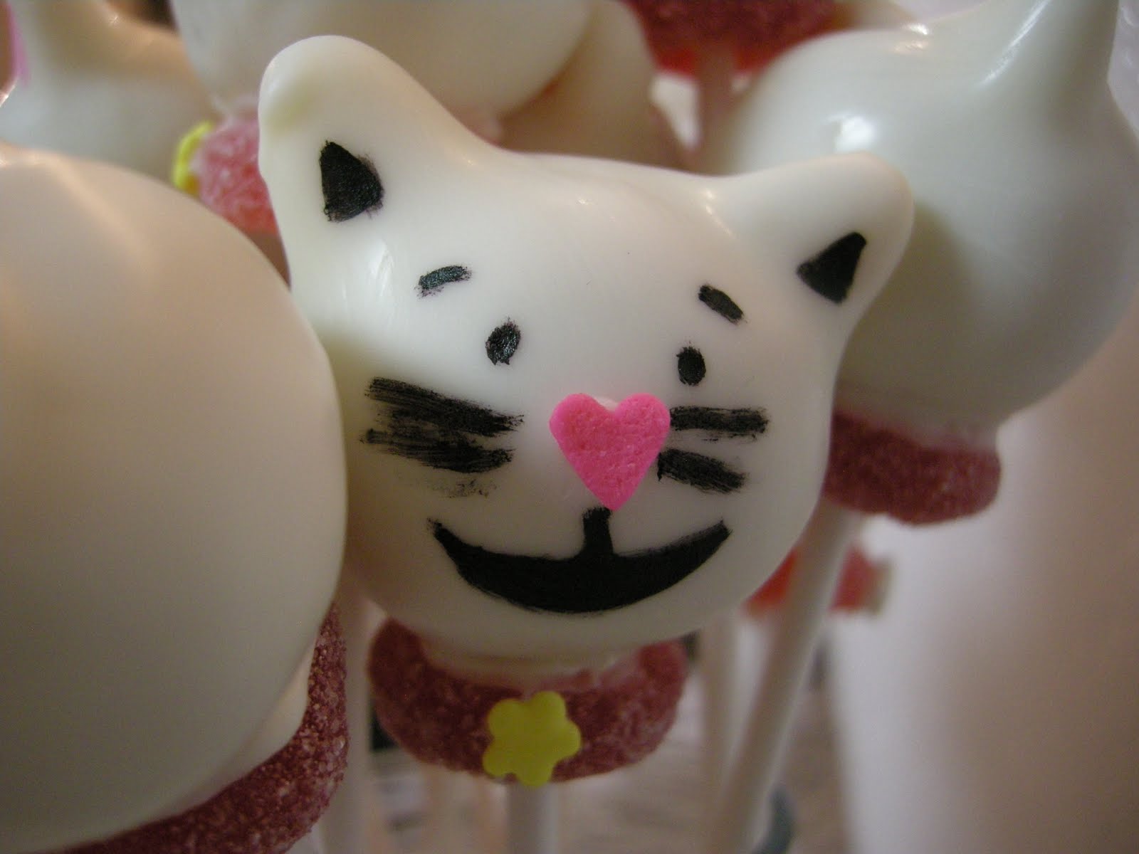 Cake Pop Insanity!: Pretty Kitty and Tom Cat Cake Pops