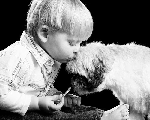 Start A Dog Day Care Business At Home You Can Make Your Own Money start-a-dog-day-care-business-at-home-you-can-make-your-own-money