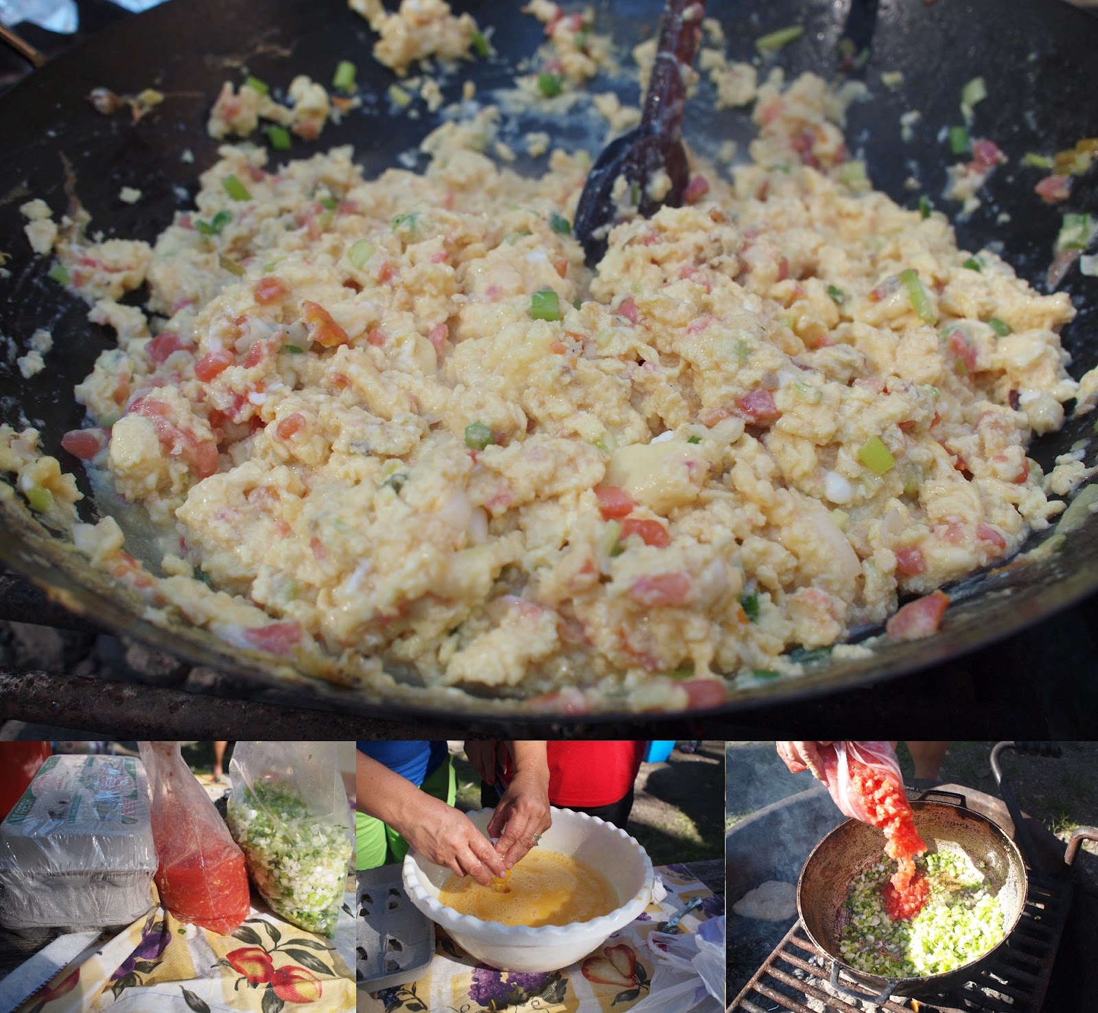Tofu Con Sazon Family Camping Reunion Breakfast Campestre tofu-con-sazon-family-camping-reunion-breakfast-campestre