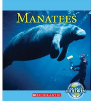 The Nonfiction Detectives: Manatees and Manatee Calves
