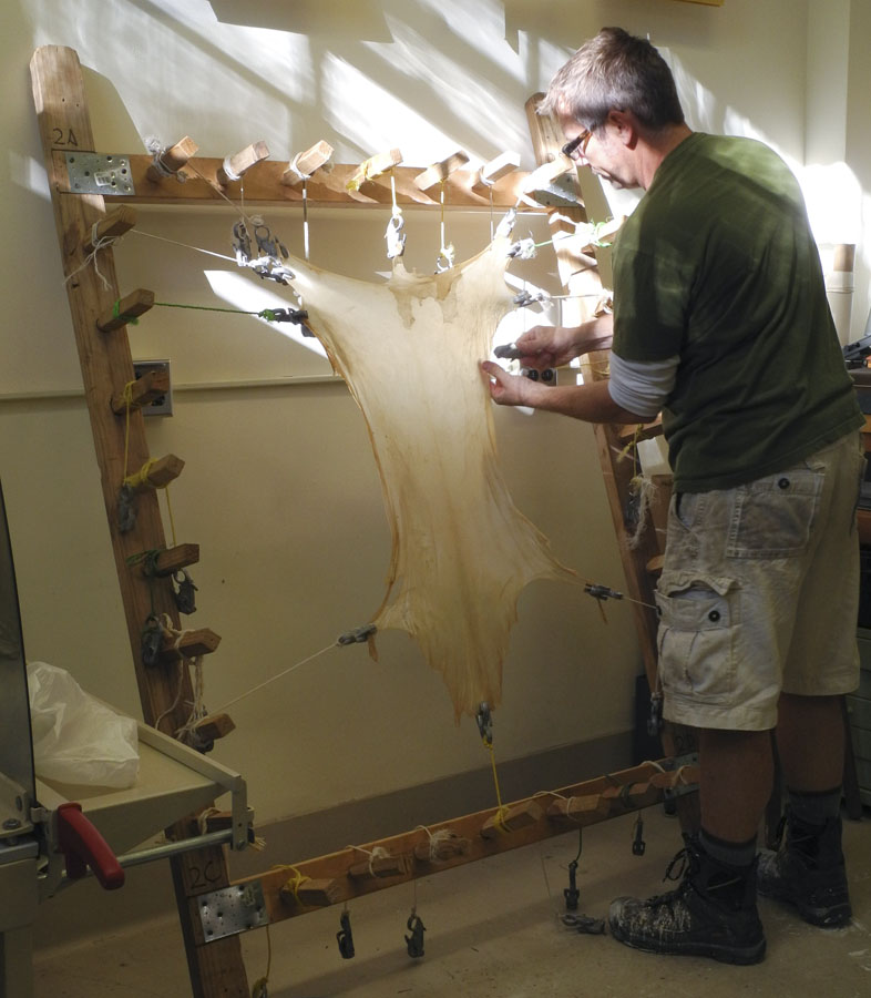 Studio And Garden Making Parchment An Ancient Craft studio-and-garden-making-parchment-an-ancient-craft