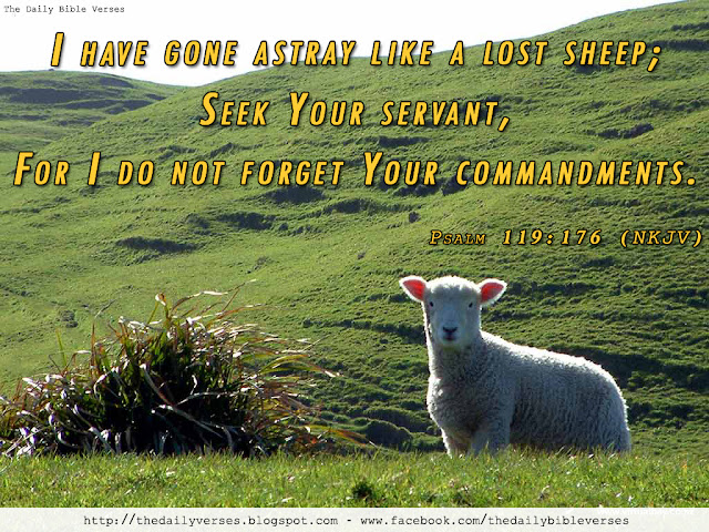 Daily Bible Verses Psalm 119 176 daily-bible-verses-psalm-119-176