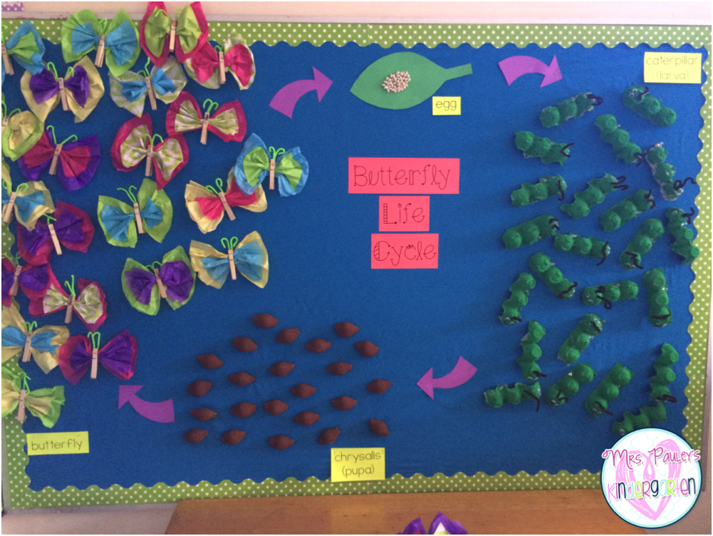 All Kinds of Insect Fun - Mrs. Pauley's Kindergarten