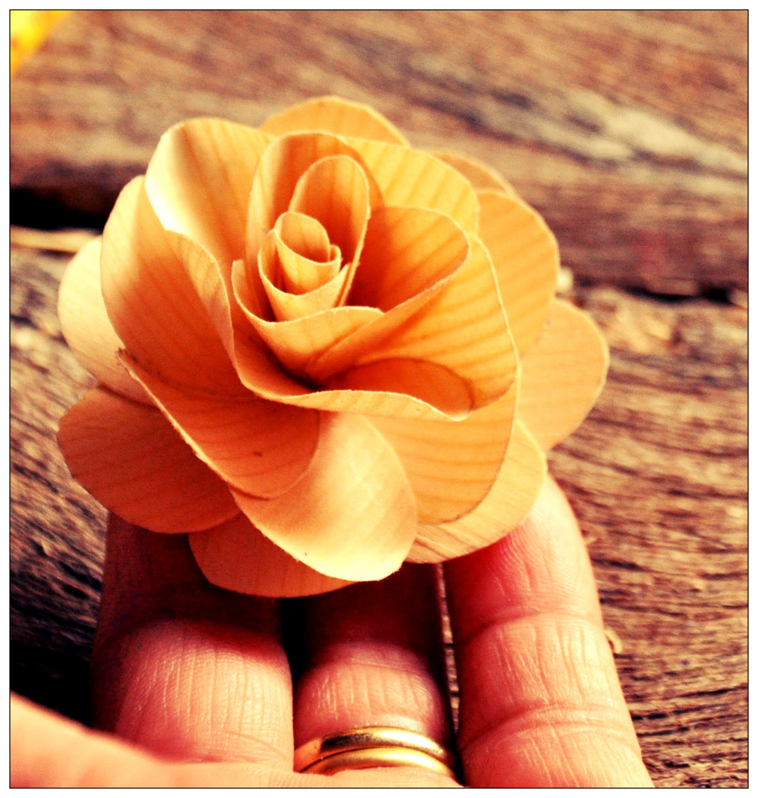 Tutorial On How To Make Wooden Roses Using Birch Wood Shavings Reduce tutorial-on-how-to-make-wooden-roses-using-birch-wood-shavings-reduce