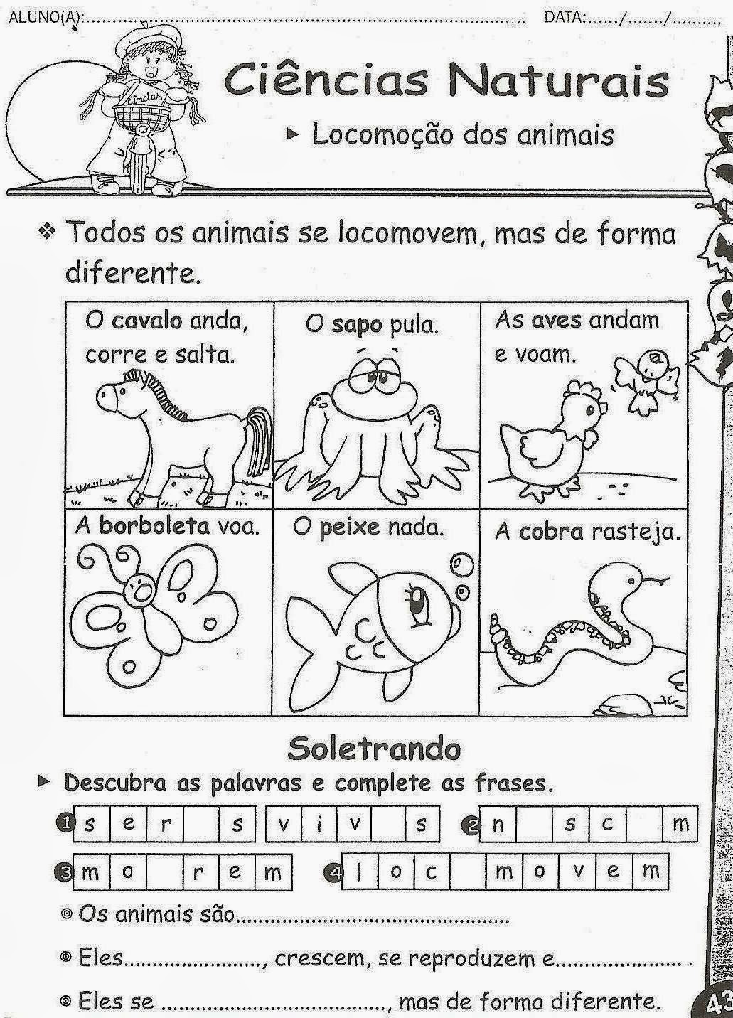 Atividade De Ciencias 3 Ano Fundamental - FILECLOUD Atividade De Ciencias 3 Ano Fundamental - FILECLOUD