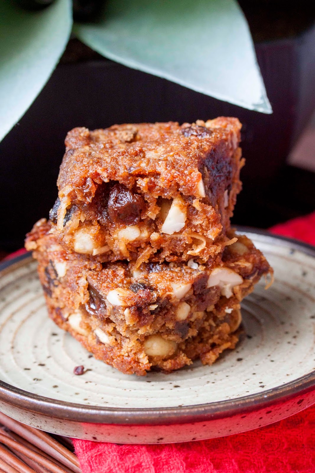 KARENLUVSLIFE: Fruit and Nut Slice - Paleo, Vegan option