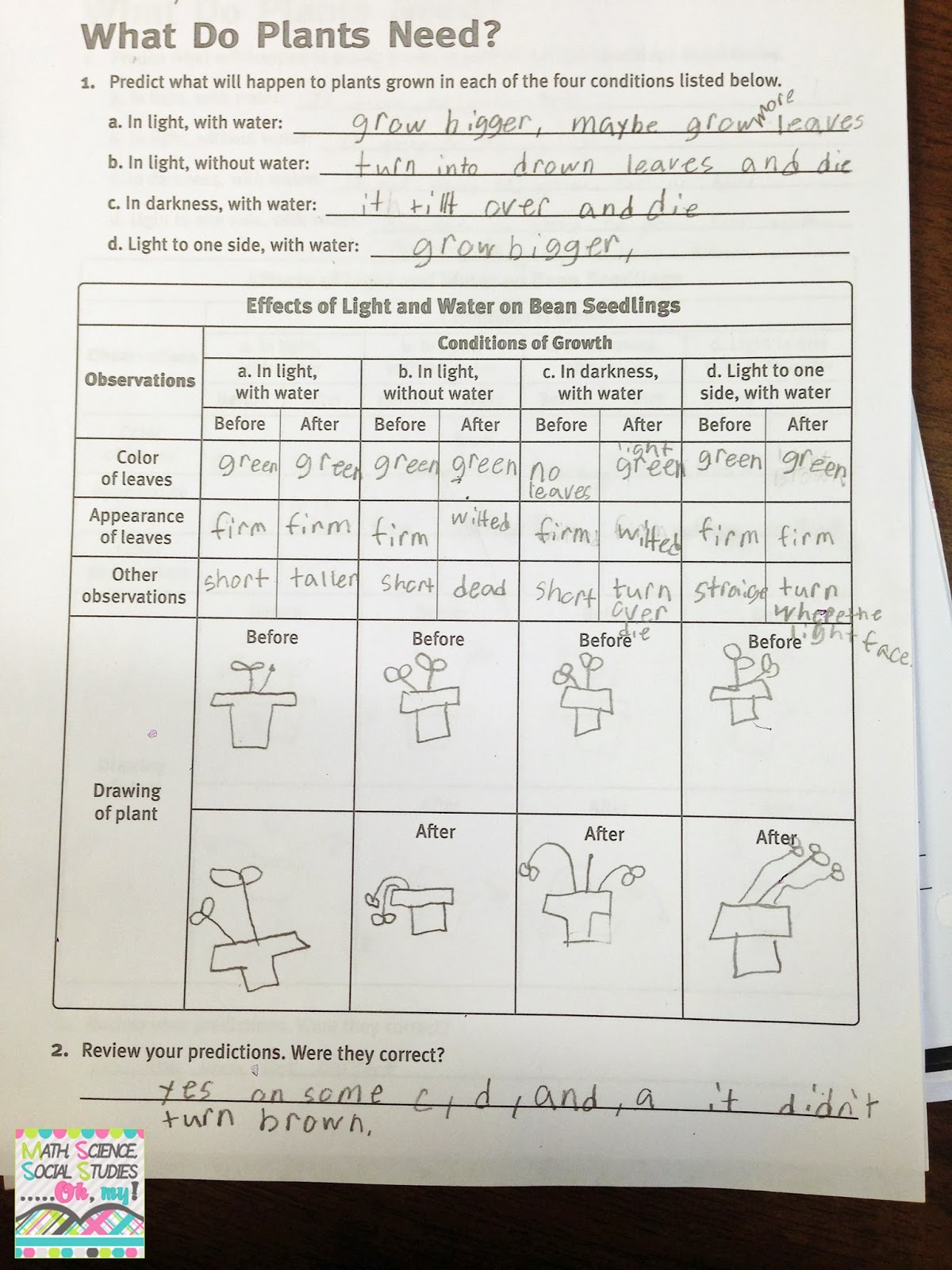 What do plants need to survive? | Technically Speaking with Amy