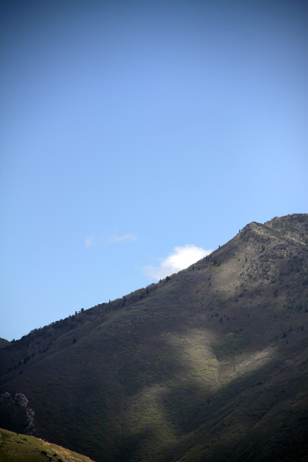 My Scenic Byway I Will Miss My Scenic Views my-scenic-byway-i-will-miss-my-scenic-views