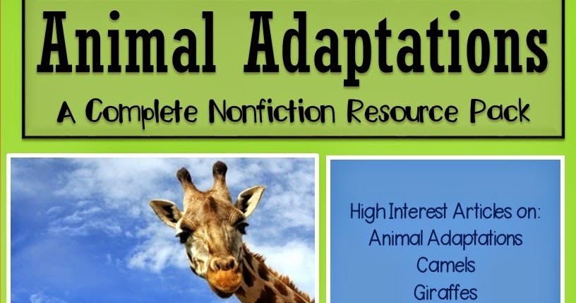 The Best of Teacher Entrepreneurs: Animal Adaptations - A Nonfiction ...
