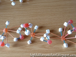 25+ Fun Edible STEM Experiments for Kids (And Adults!)