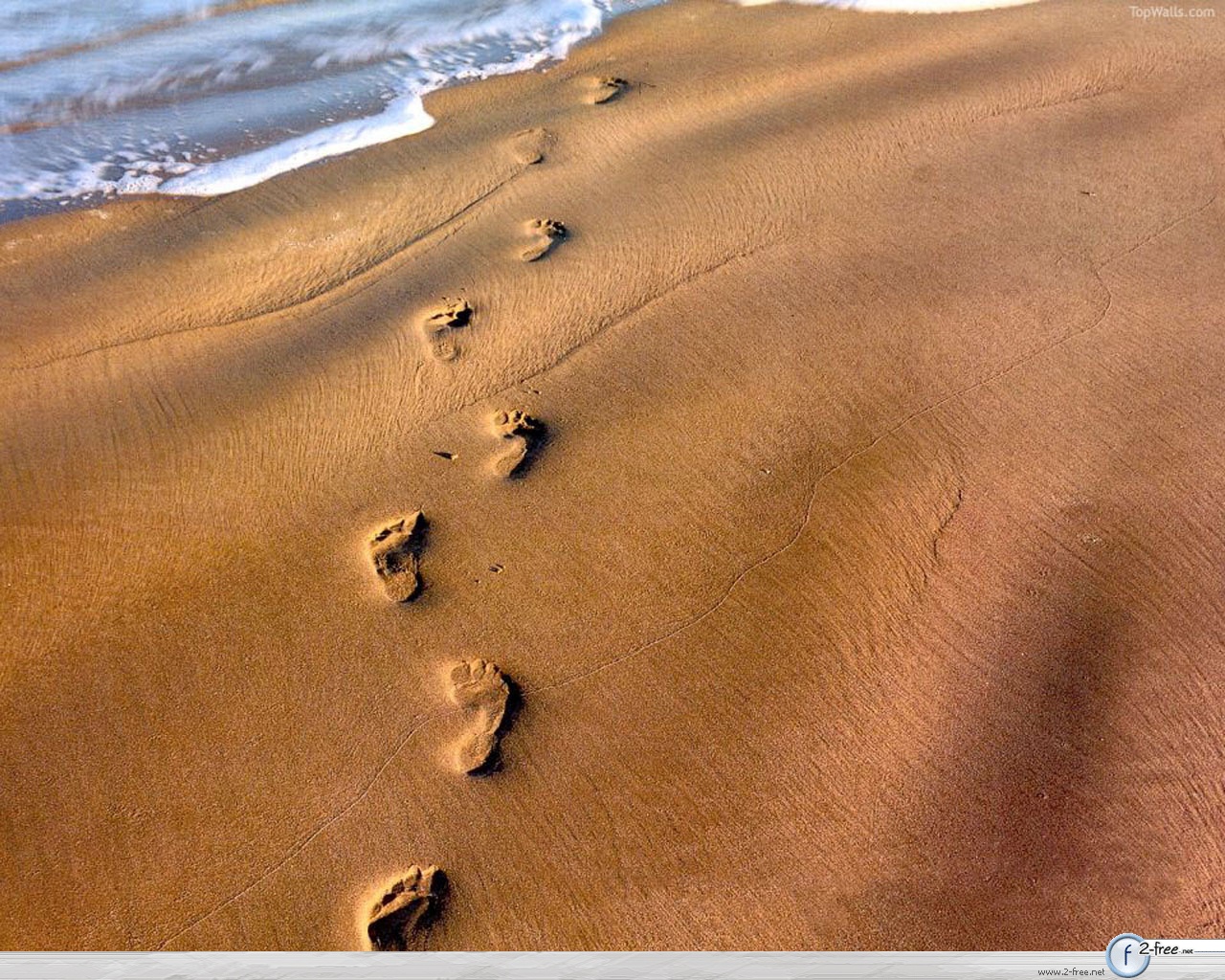 The Many Days Of 30 Thank You For Your Footprints the-many-days-of-30-thank-you-for-your-footprints