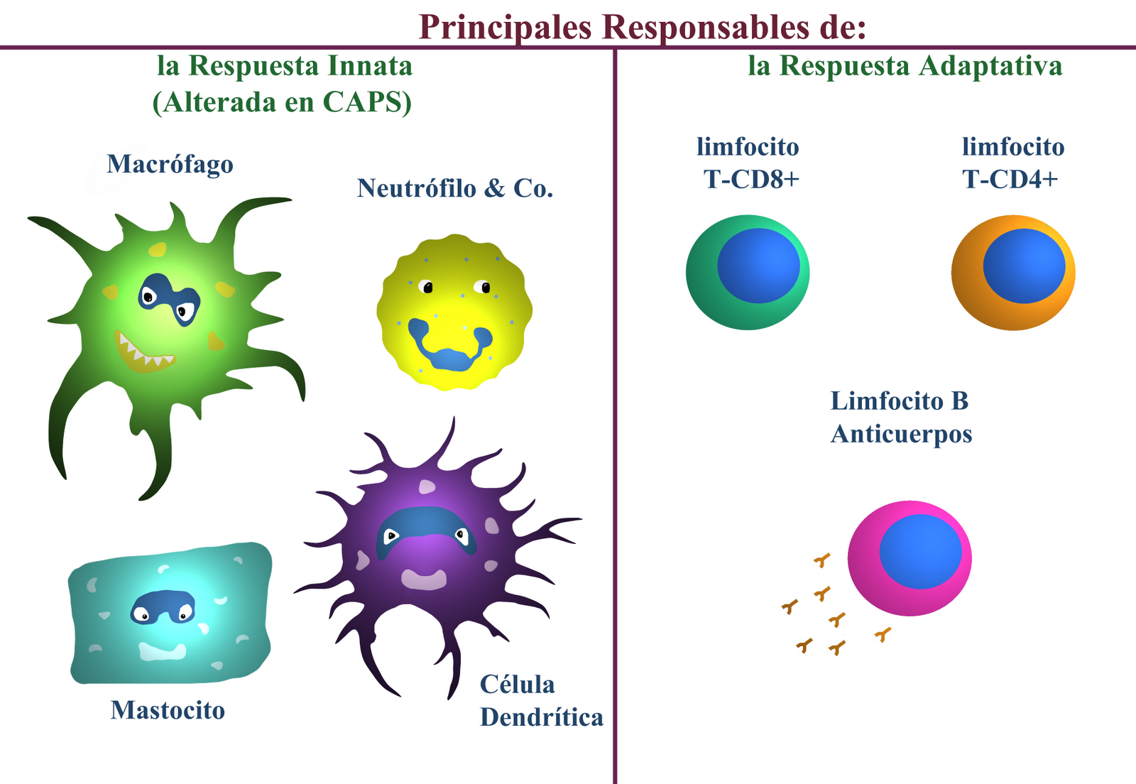 Terapia infantil y juvenil: ¿Cuáles son los tipos de respuesta inmune ... Terapia infantil y juvenil: ¿Cuáles son los tipos de respuesta inmune ...