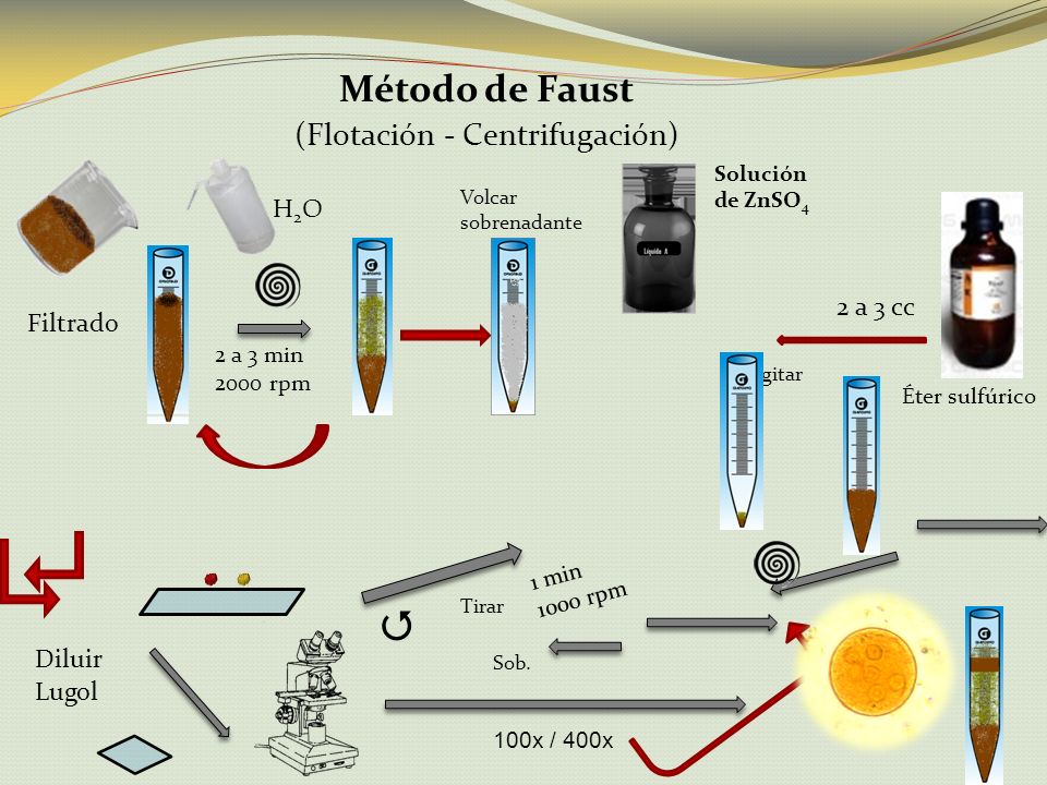Equipo 5: Técnicas parasitológicas mas comúnes