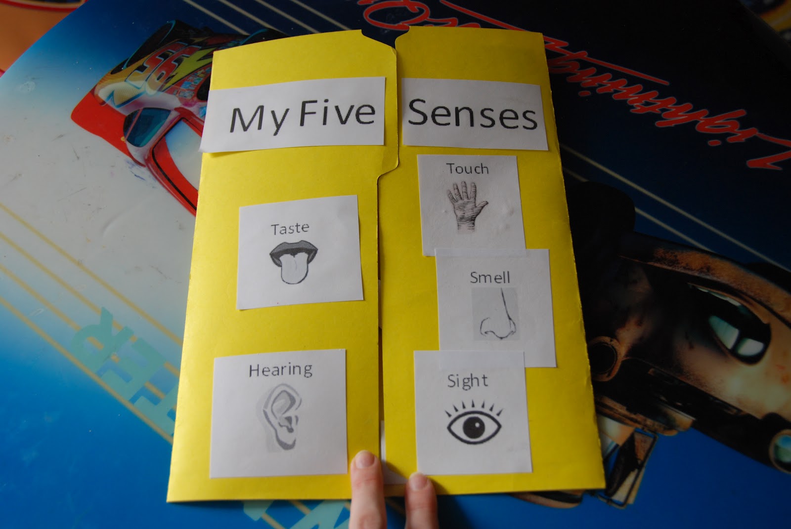 Adventures in Homeschooling: The 5 Senses