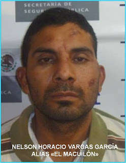 "EL CIRCO": Detiene la Policía Federal a Nelson Horacio Vargas García, alias “El Macuilón”