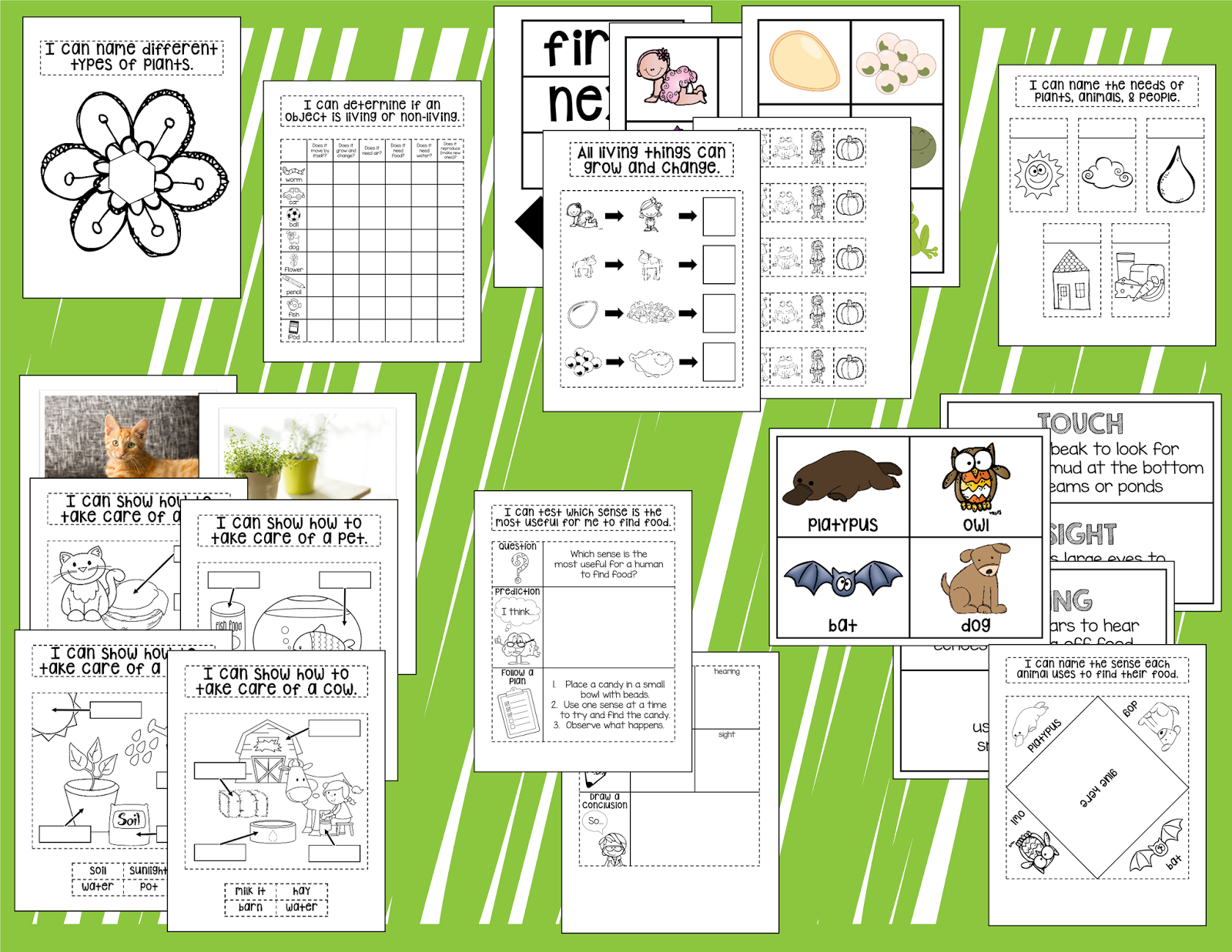 First Grade Garden: Interactive Science Journals