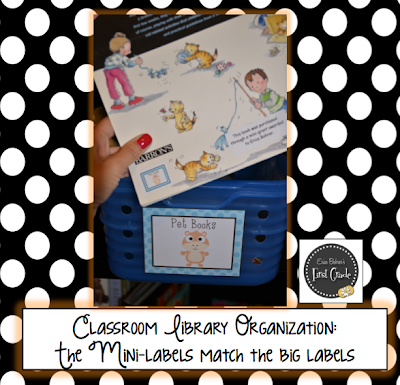 Photos of My First Grade Classroom