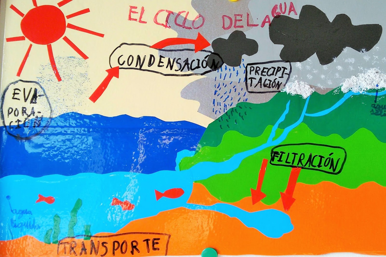 CLASE DE 1º DE PRIMARIA : EL CICLO DEL AGUA Y SUS CAMBIOS DE ESTADO