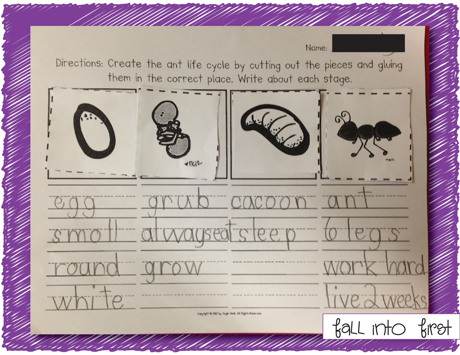 Fall Into First: Ants In Our Pants