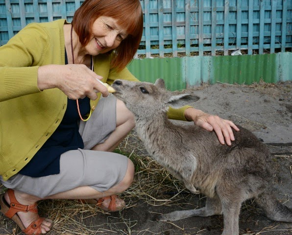 Small Animal Talk: Hop Up! Wriggle Over! Interview with children's author and animal lover ...