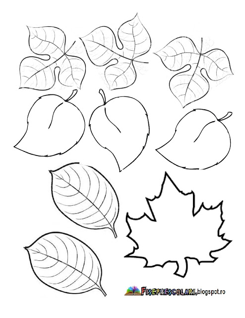 Fise scolari si prescolari: Imagini de colorat cu FRUNZE de toamna / Planse de colorat cu FRUNZE