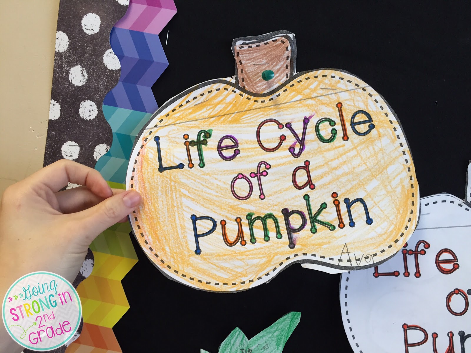 Going Strong in 2nd Grade: Pumpkin Week!!