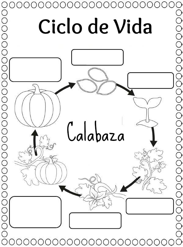 Menta Más Chocolate - RECURSOS y ACTIVIDADES PARA EDUCACIÓN INFANTIL ...