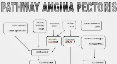 Patofisiologi Angina Pectoris | DUNIA KEPERAWATAN