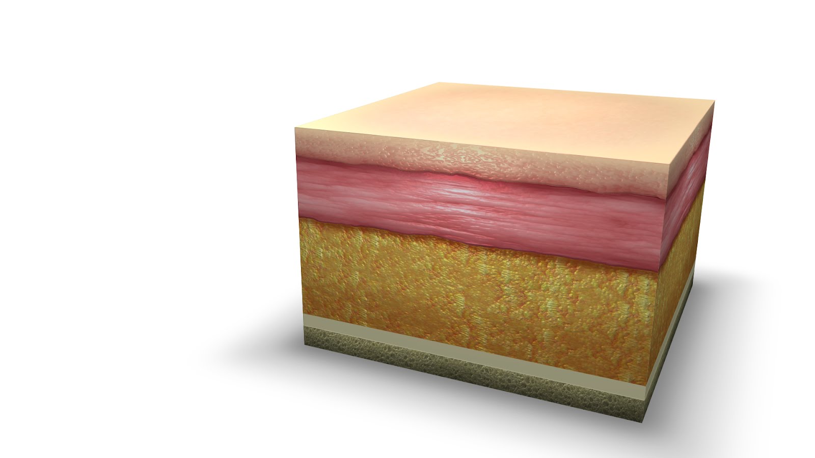 Antastic Artwork 3D Skin Layers in AFTER EFFECTS antastic-artwork-3d-skin-layers-in-after-effects