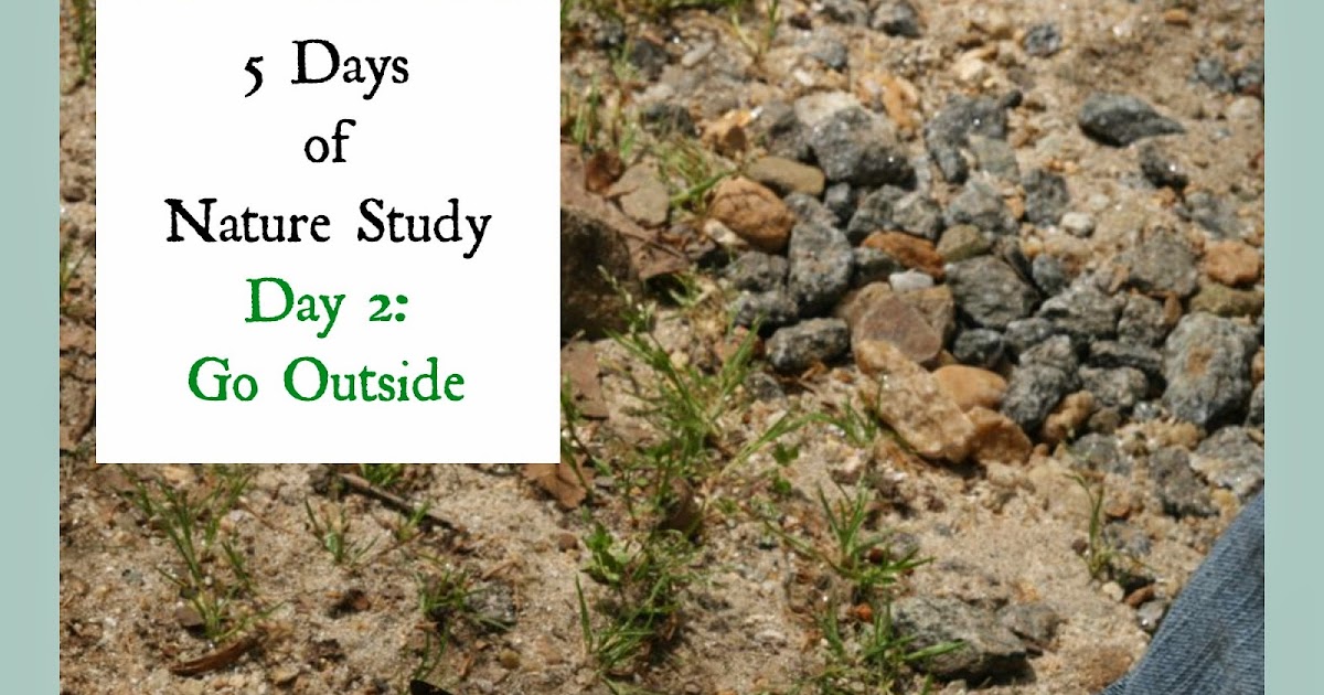 Acorn Hill Academy: Let's Go Outside!