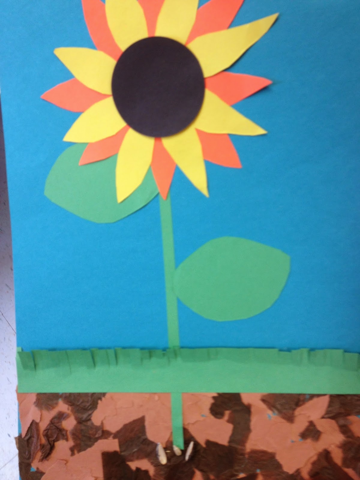 Sunflower Activity and Plant FREEBIE! - Dynamic Learning Resources