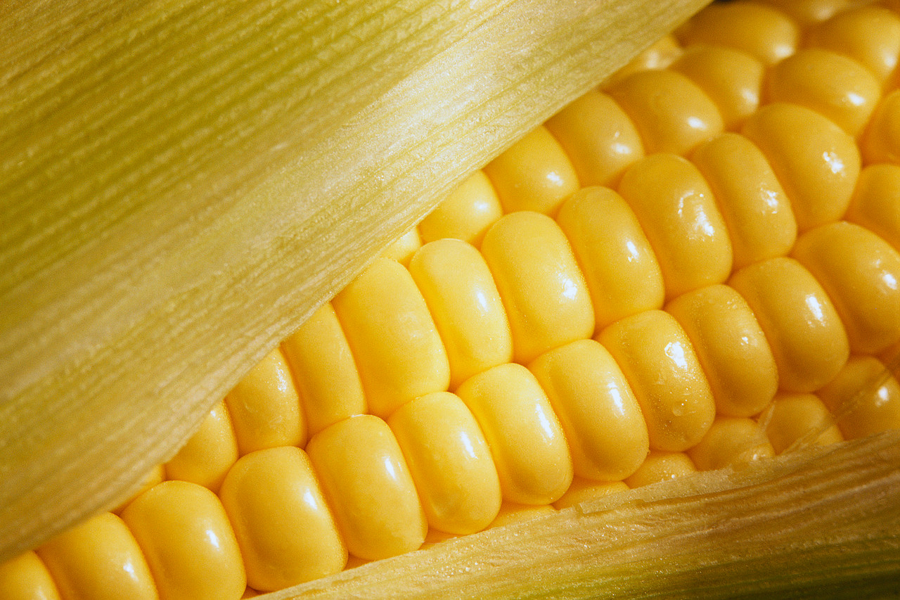 1-Minute Bible Love Notes: 5 Kernels of Corn 1-Minute Bible Love Notes: 5 Kernels of Corn