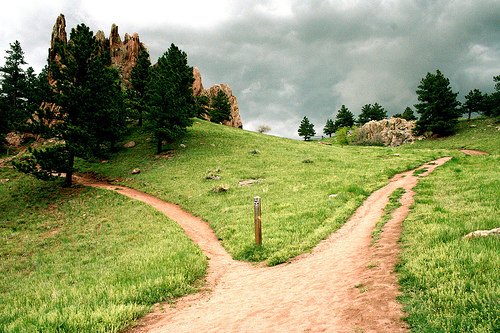 The Catholic Woman s Journal The Story Of The Two Paths the-catholic-woman-s-journal-the-story-of-the-two-paths