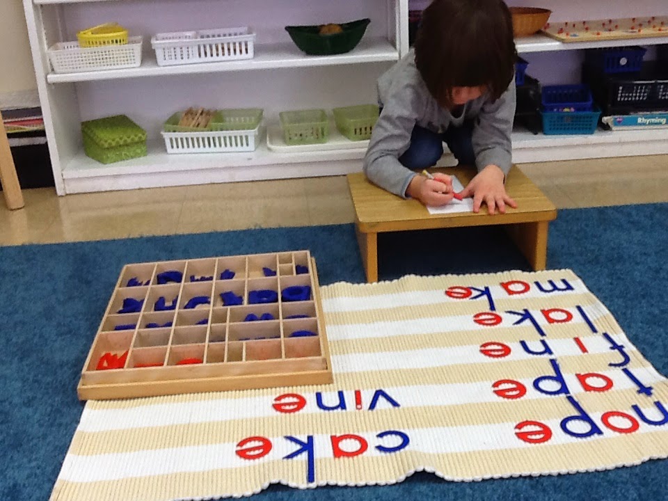 Montessori Insight into Reading | Westmont Montessori