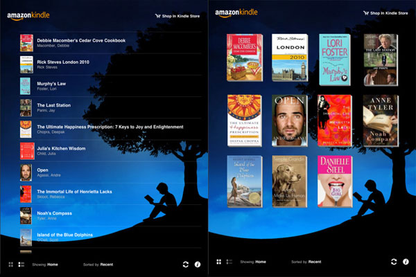 SEO And Social Media Insights How To Read Kindle Books Without Buying A Kindle seo-and-social-media-insights-how-to-read-kindle-books-without-buying-a-kindle