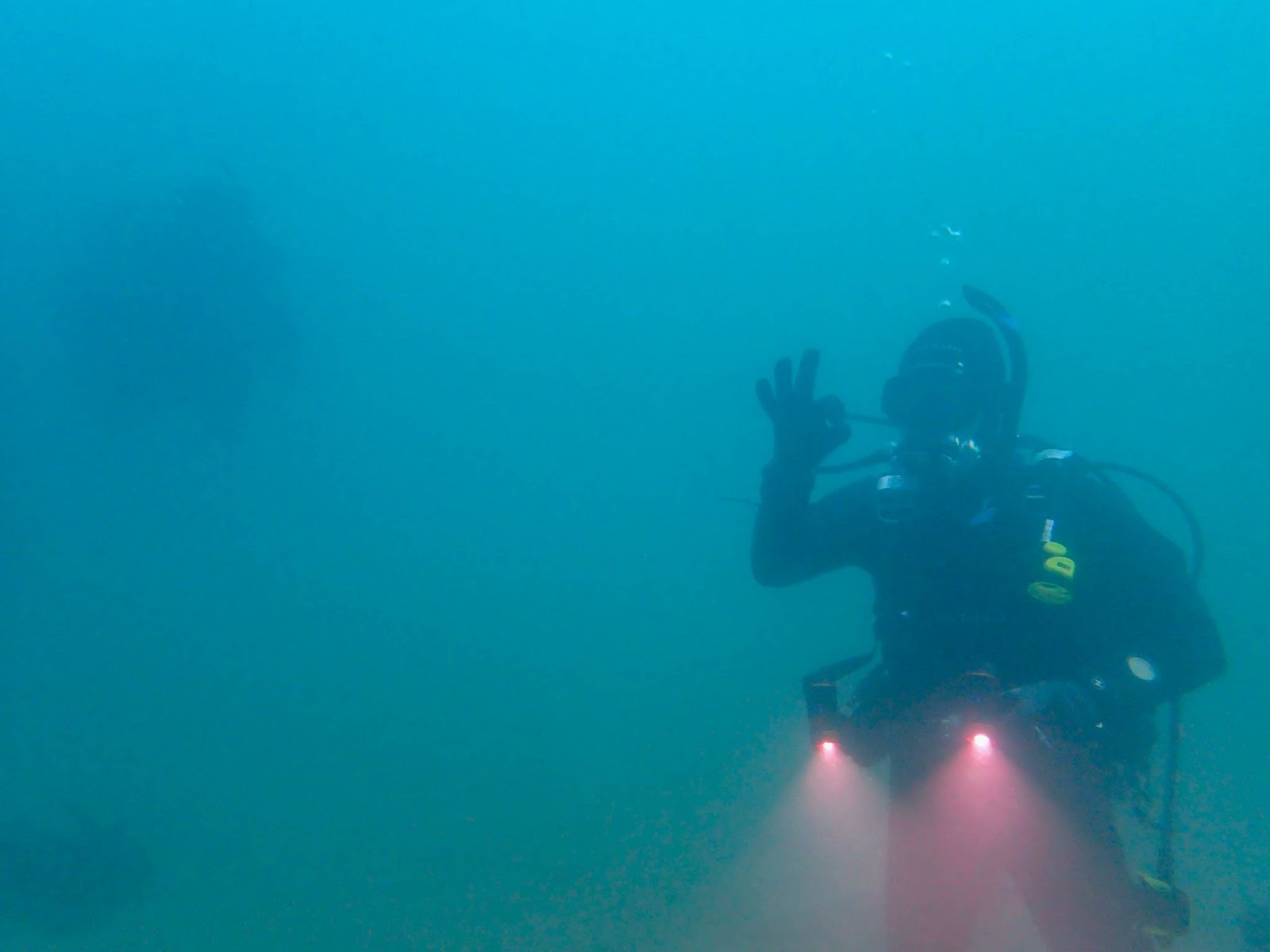 Diving Before Work At Shaw's Cove Laguna Beach - First Church of The Masochist